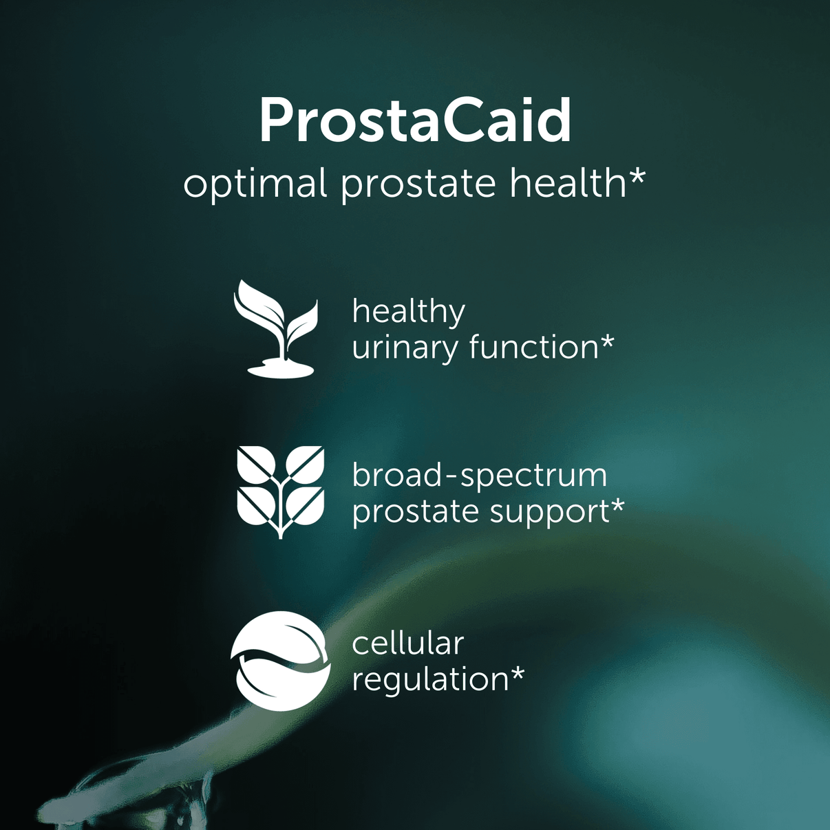 Prostate Herbal Supplement: ProstaCaid | EcoNugenics | Hormone Balance ...